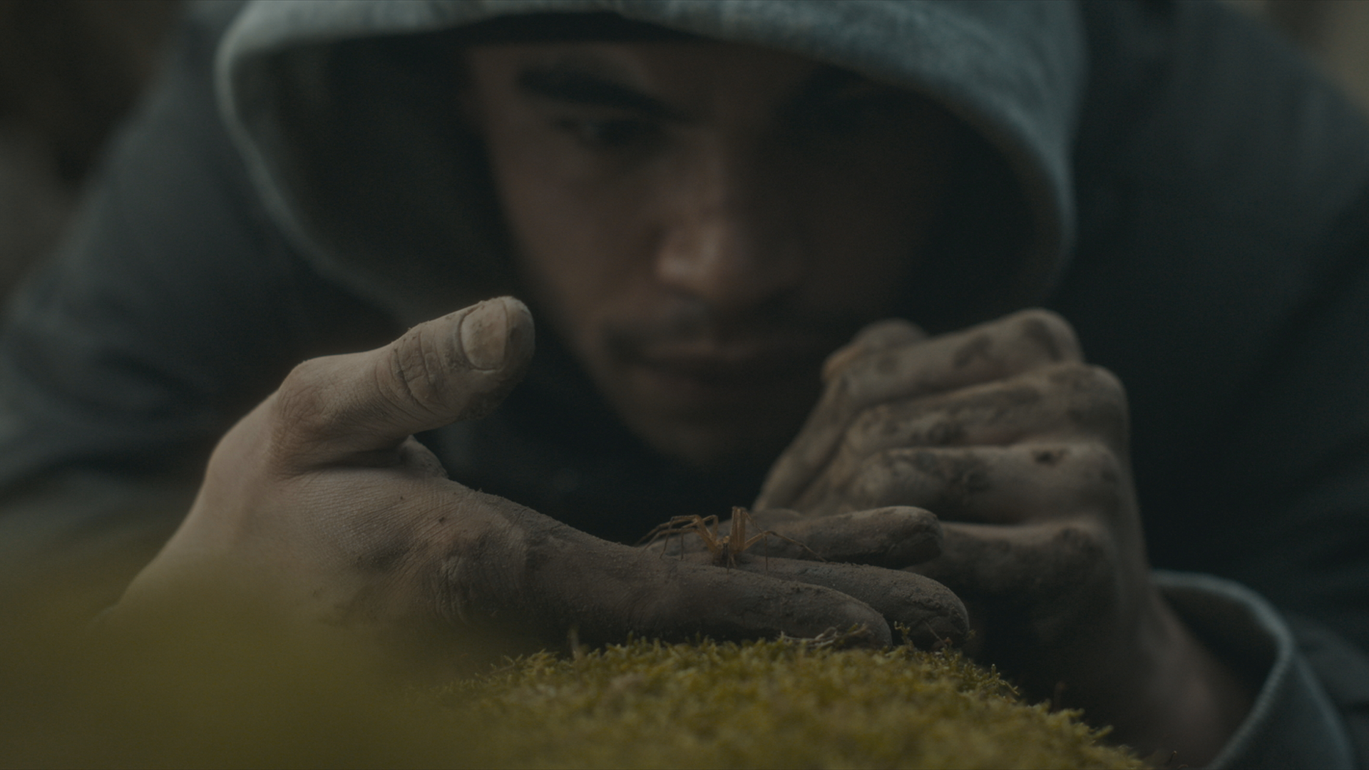 Infested (2024) - Shudder Original Review - Nerdgazm