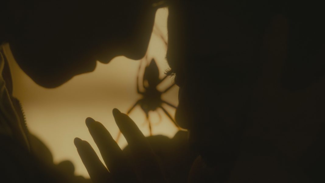 Infested (2024) - Shudder Original Review - Nerdgazm